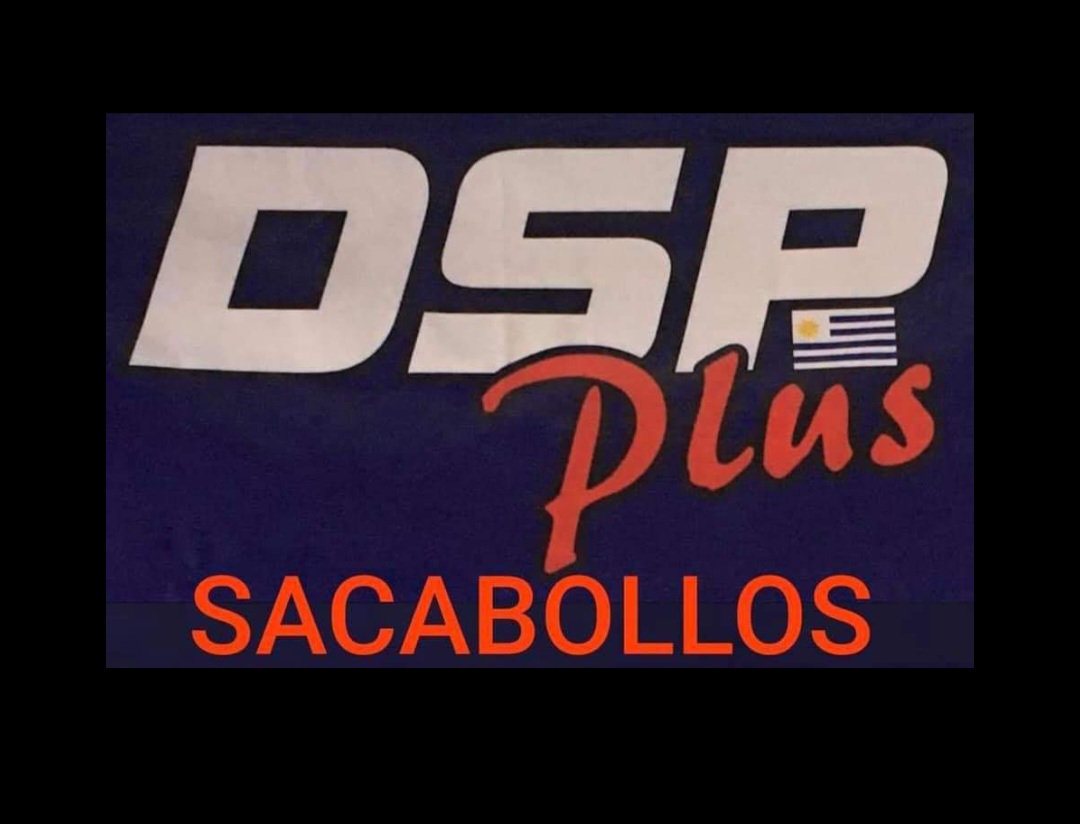 SACABOLLOS, CHAPA Y PINTURA DSP PLUS - Guía Digital